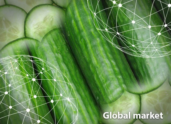FreshPlaza: Global Fresh Produce and Banana News