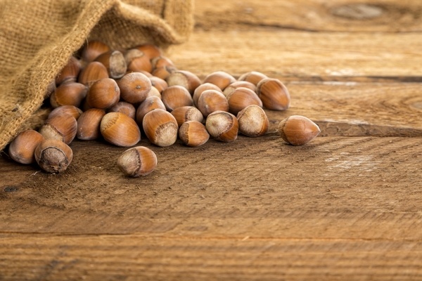 Oregon leads U.S. hazelnut production with research-backed growth