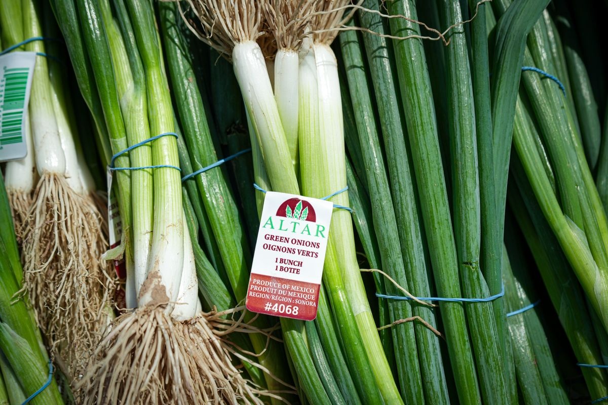 Specialty vegetable program expands