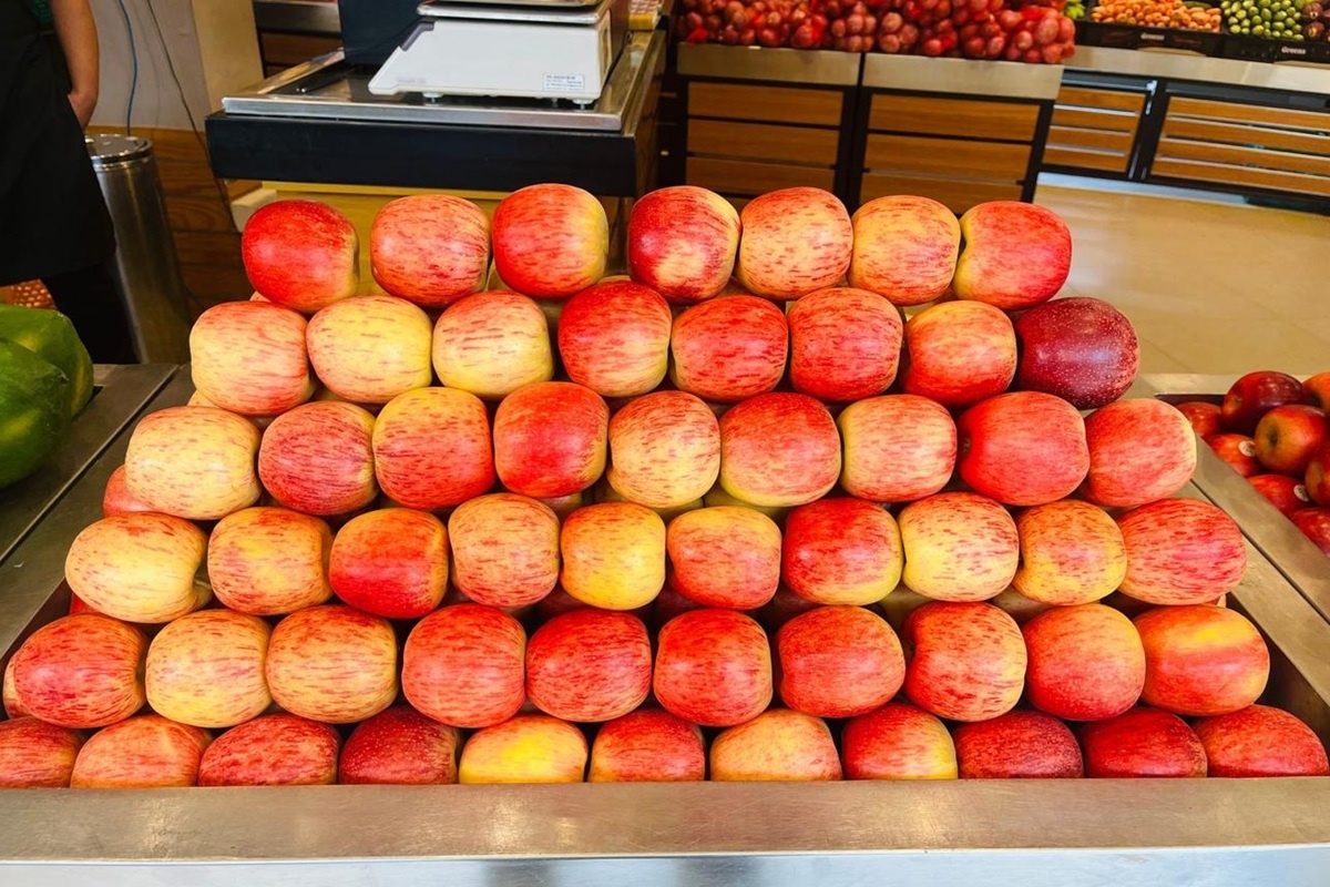 Indian demand exceeds supply of South African Flash Gala apples