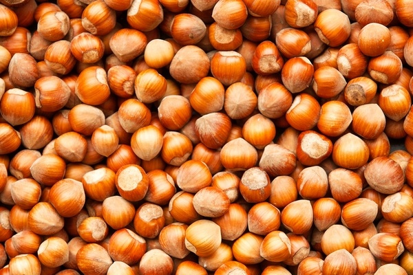 Hazelbrae Hazelnuts thrives with e-commerce focus