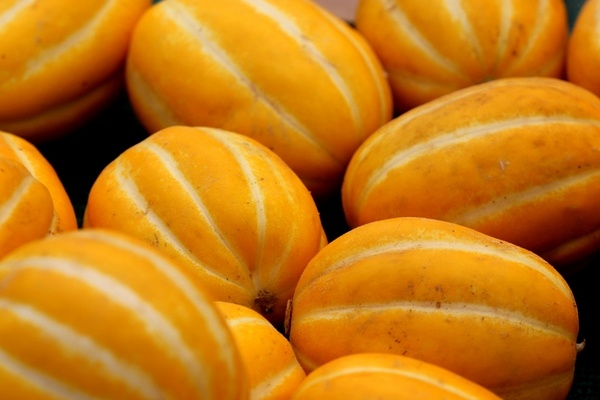 Korean chamoe melons reach Vietnam by sea with CA tech