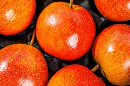 Le nashi Ruby Roo (à la peau rouge) fait ses débuts à Hort Connections