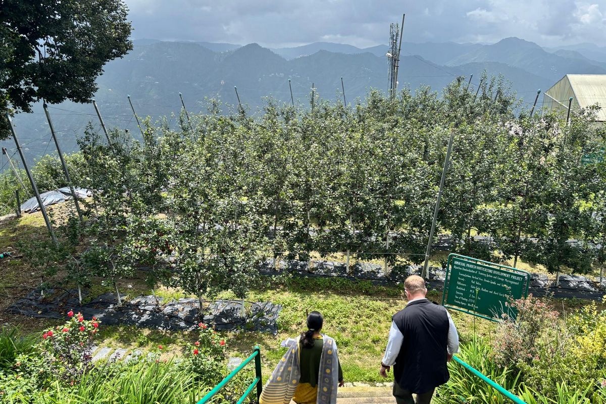 New Zealand Apples and Pears to attend World Food India this month