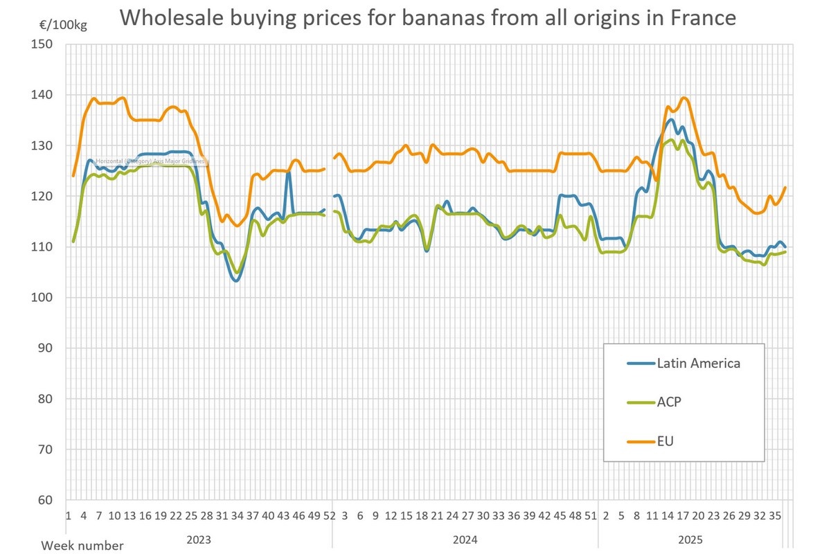 Slovakia banana prices drop €54/100kg in one week