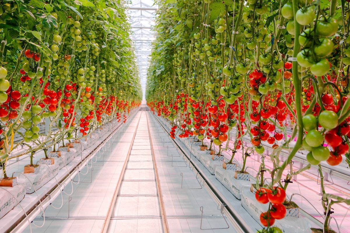 Showing clean energy innovations in “Everything Electric” episode