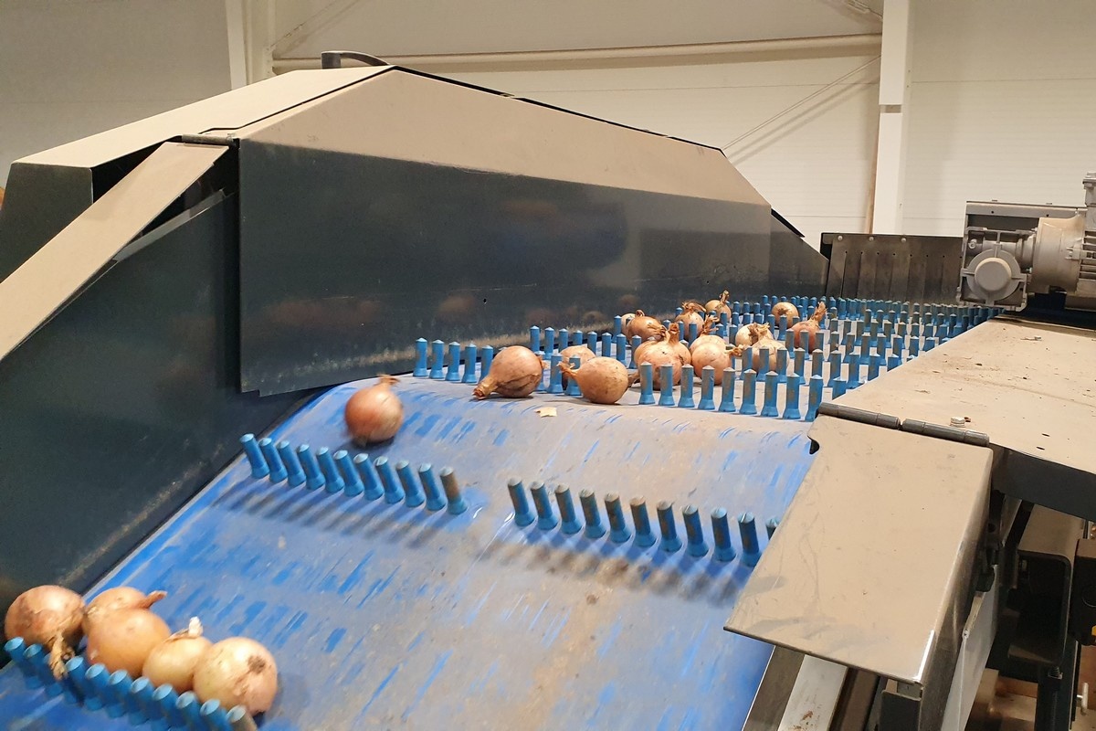 "Our Dynamic Box Filler allows for uninterrupted operation"