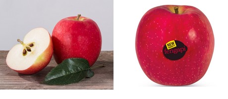 "Fengapi tiene gran potencial en el mercado mundial de la manzana"