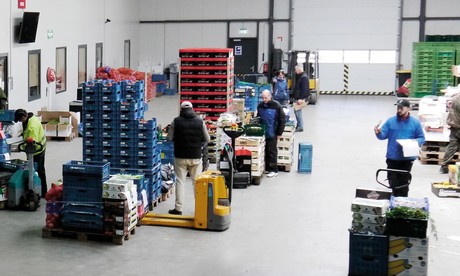 Allemagne : « Quand tu parles de chou frisé aux gens en ce moment, ils ...