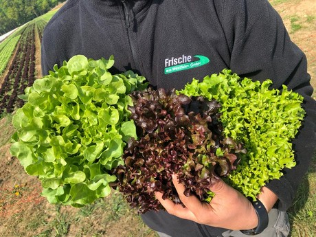 "Mini-Romana ist heute einer der interessantesten und beliebtesten ...