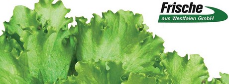 "Mini-Romana ist heute einer der interessantesten und beliebtesten ...