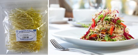 "Sprossen werden gerade jetzt im Sommer sehr gerne als Superfoods genommen"