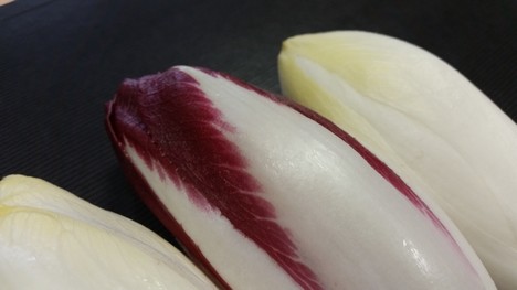 Prevista una carenza di indivia belga sul mercato nelle prossime settimane