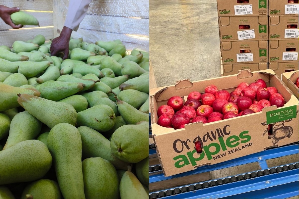 "Elke tweede Braeburn appel komt nu uit Zuid-Afrika in plaats van Nieuw ...