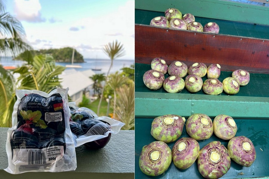 "Growth trend for beetroot continues, weak year for turnips"