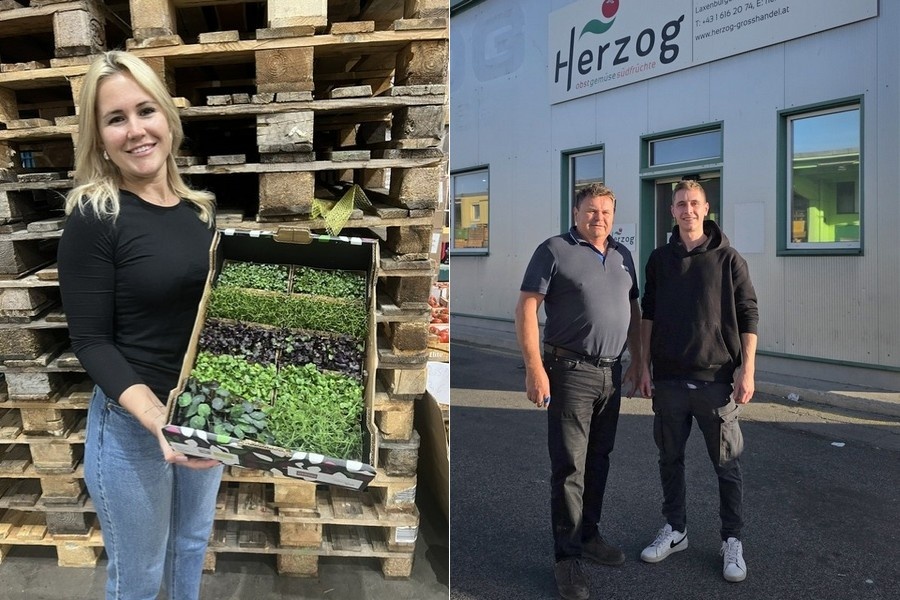 "Rising demand for fresh herbs in the restaurant industry"