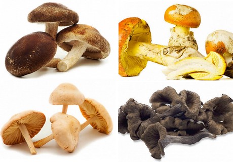 España sigue creciendo y haciéndose con el liderazgo como proveedor de ...