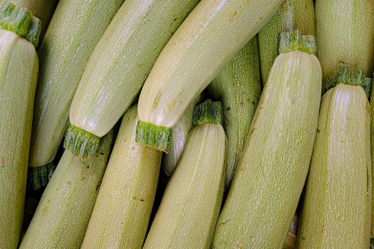 Spain imported €18 million worth of courgettes in the 2023/2024 season