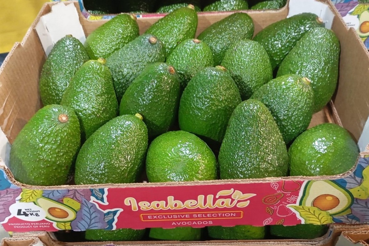 "Avocado, il frutto che conquista l'Asia: e se tutta la Cina iniziasse ...