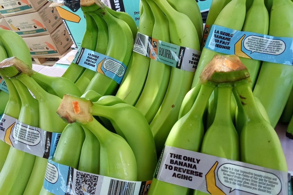 Drop in volume and water shortage affect Peru's organic banana sector ...