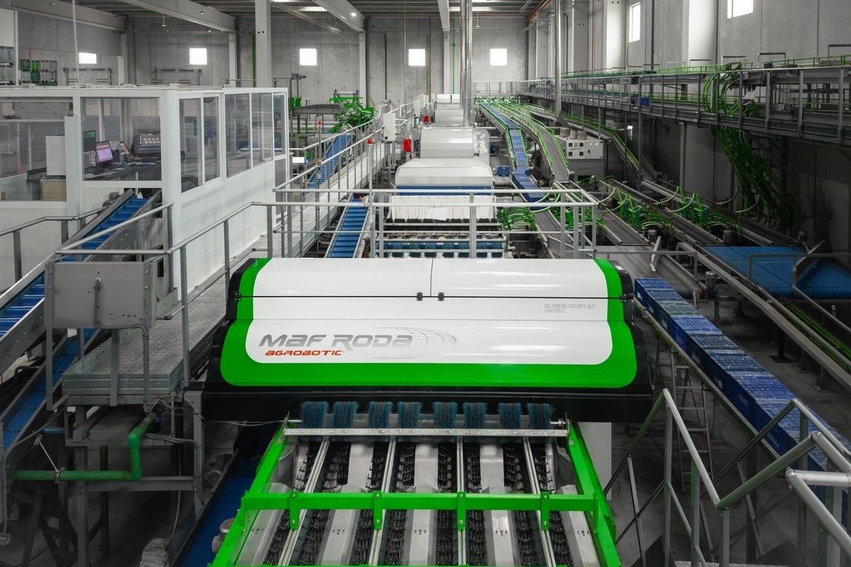 Maf Roda refuerza su liderazgo en tecnología poscosecha con IA y ...