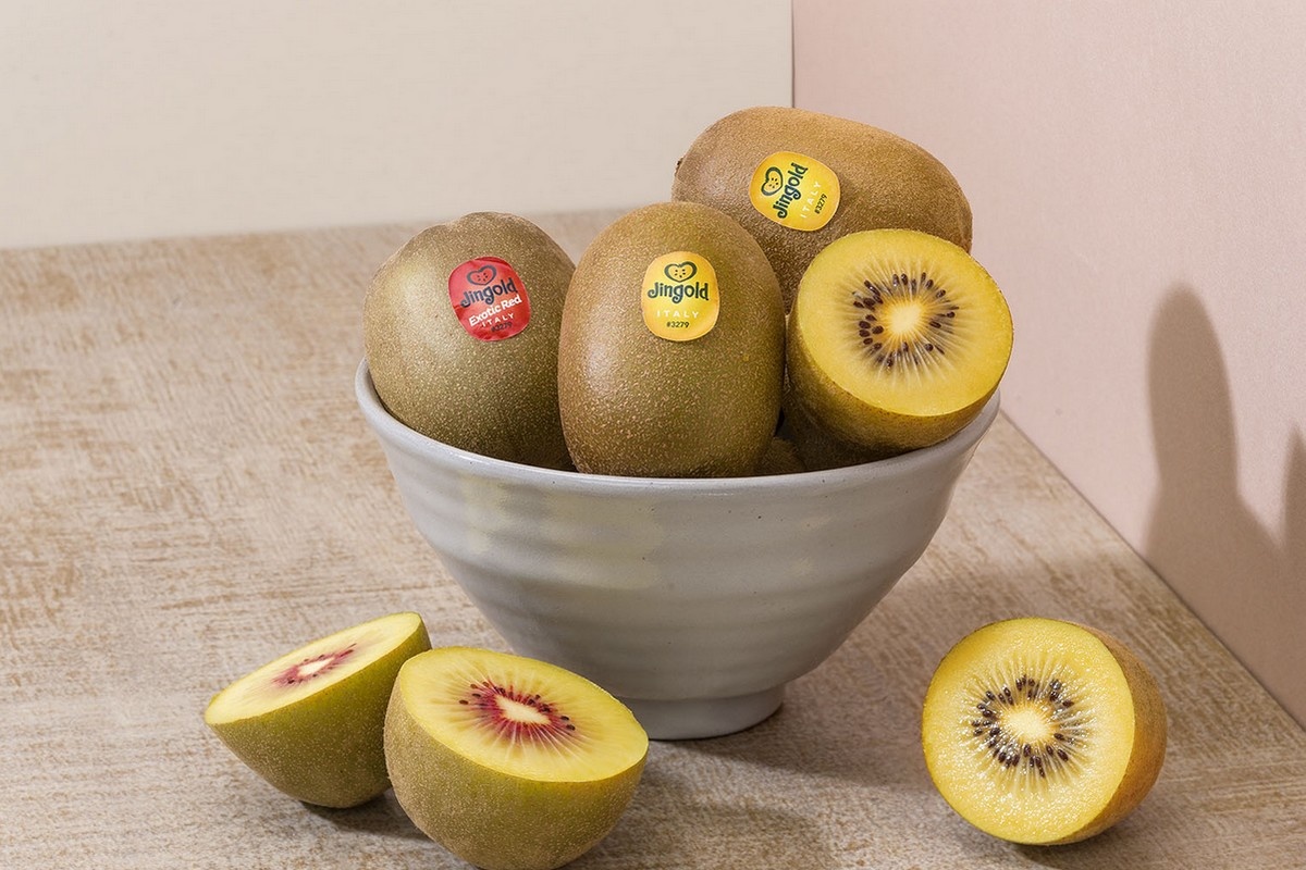 Jingold commence à commercialiser les 200 premières tonnes de kiwis ...