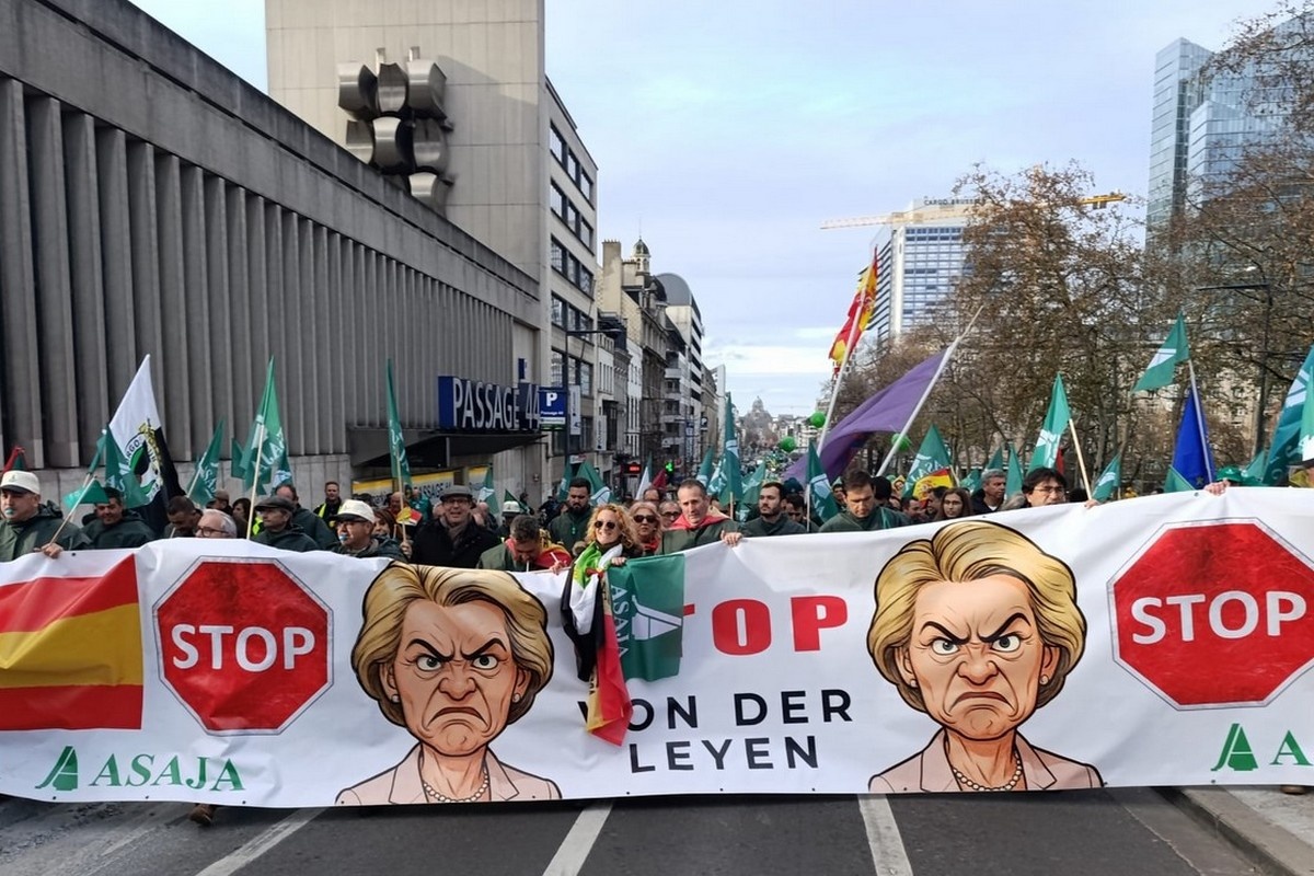 Thousands of European farmers protest in Brussels demanding a robust ...