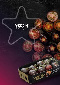 Une nouvelle tomate violette