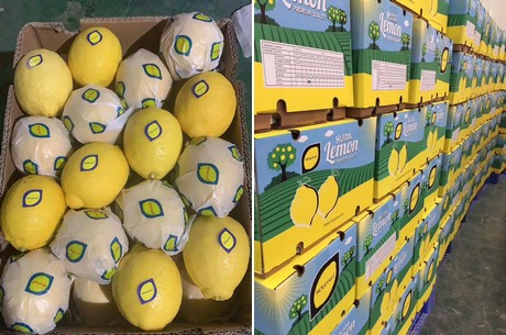 « Le prix à l'exportation des citrons chinois est légèrement plus élevé ...