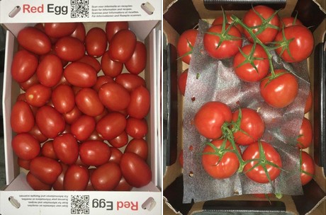 Tomato: "The quality is excellent, despite a too low demand"