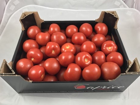 Tomato: "The quality is excellent, despite a too low demand"