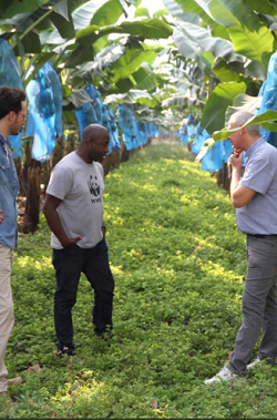L’avancée des engagements de La Compagnie Fruitière pour une production ...