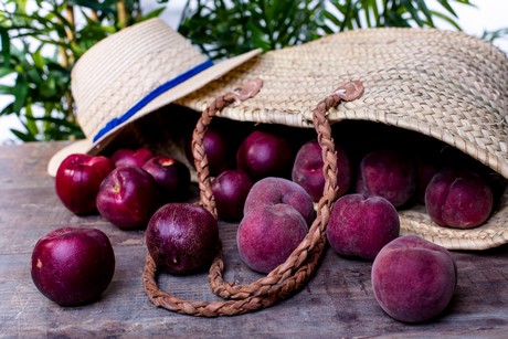 Goede vooruitzichten Frans steenfruit
