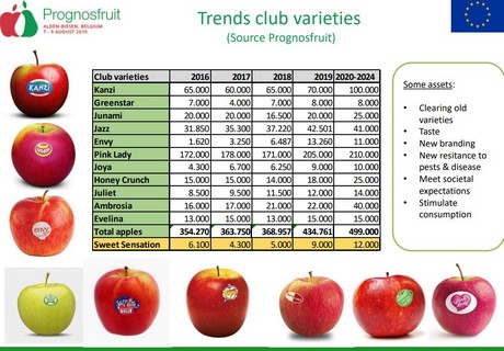 « On attend des prix élevés pour les pommes de plus gros calibre pour ...
