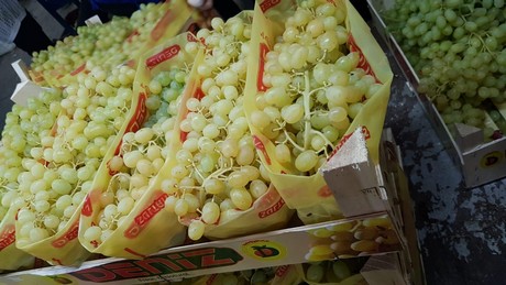 Premiers raisins turcs Sultana sur le marché néerlandais