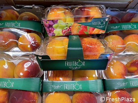 Italie : bonnes perspectives pour les pêches Percoca