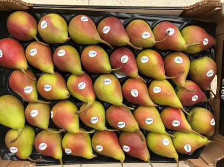 « C’est une très grande fierté pour nous d’avoir planté la Qtee, une ...