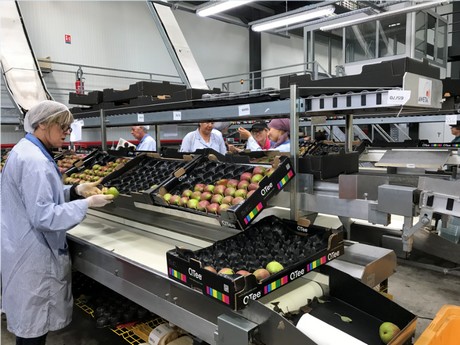 Franse Superalp is trots op de nieuwe Qtee-peren