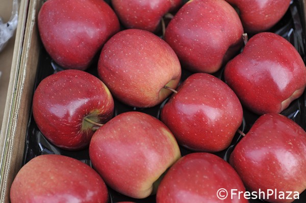 La marque italienne Melinda présente ses nouvelles variétés de pommes