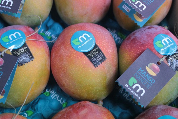 « Les mangues ont un plus grand potentiel que les avocats