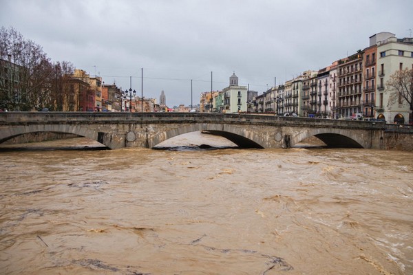 Tempête Gloria : « Certains disent qu'environ 80 % des agrumes de ...