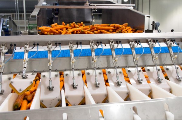 Machines de transformation des légumes et lignes de production ...