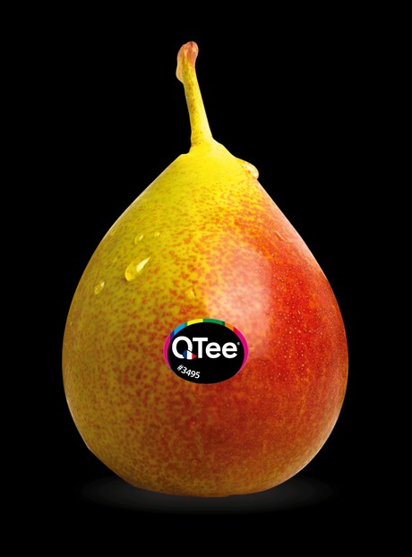 « Cette année, ce seront 450 tonnes de poires Qtee qui seront mises en ...