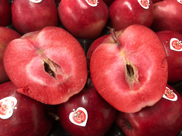 « Premières exportations de la pomme Red Love en Inde