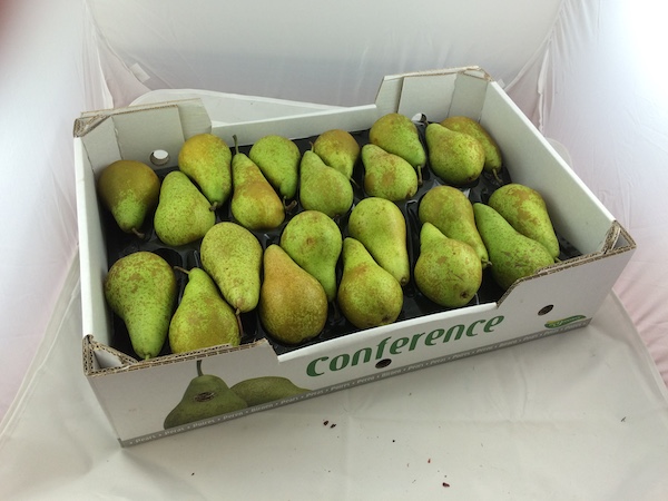 "Es una buena temporada para la pera en cuanto a volumen, calidad y ...