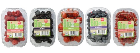 « Nous souhaitons continuer à développer la filière de fruits rouges ...