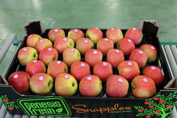 « Toutes les variétés de pommes sont populaires cette année
