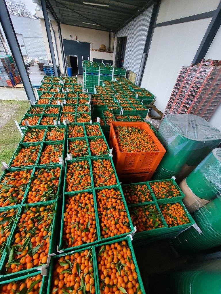 Implantation d'un atelier de transformation de fruits et légumes en Corse