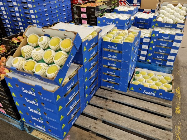 Nouvel emballage pour kiwis