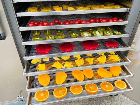 Une technologie de condensation permettant le séchage des fruits et ...